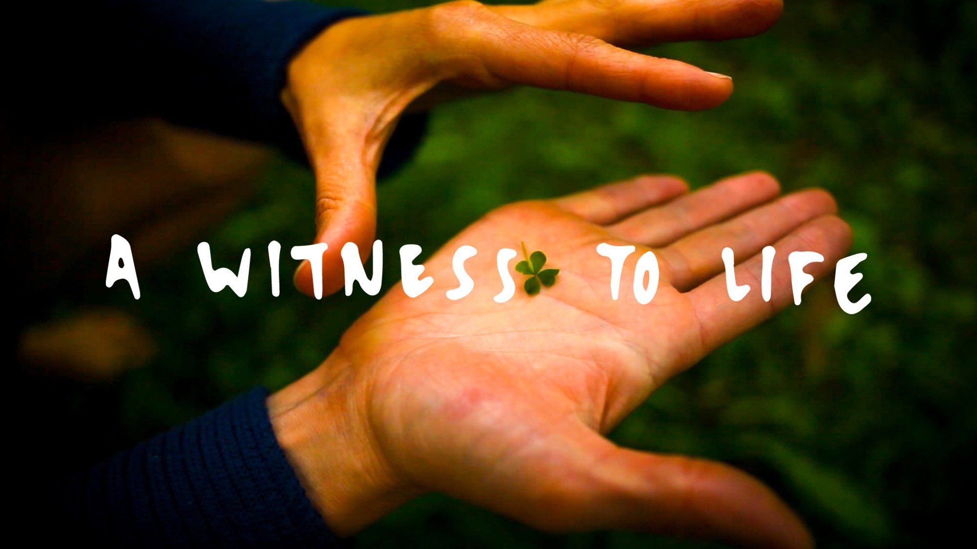 A Witness To Life Film (2021) – Jonathan Harris