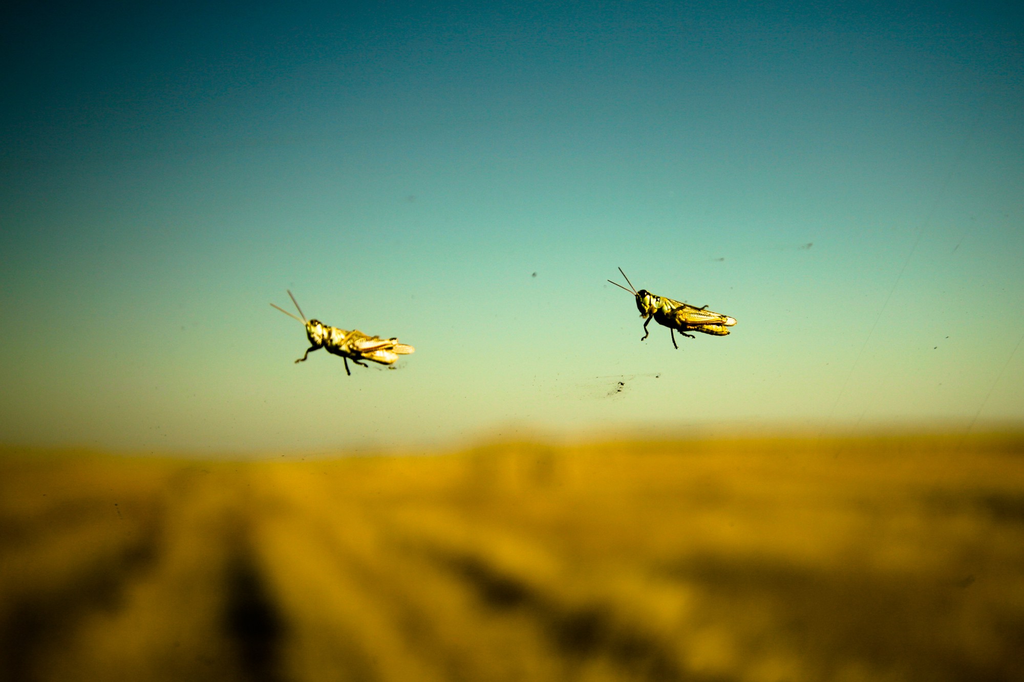 Today (2010) – Jonathan J. Harris